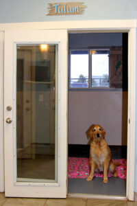 THE QUARTER DECK – CANINE BOARDING – Bayside
